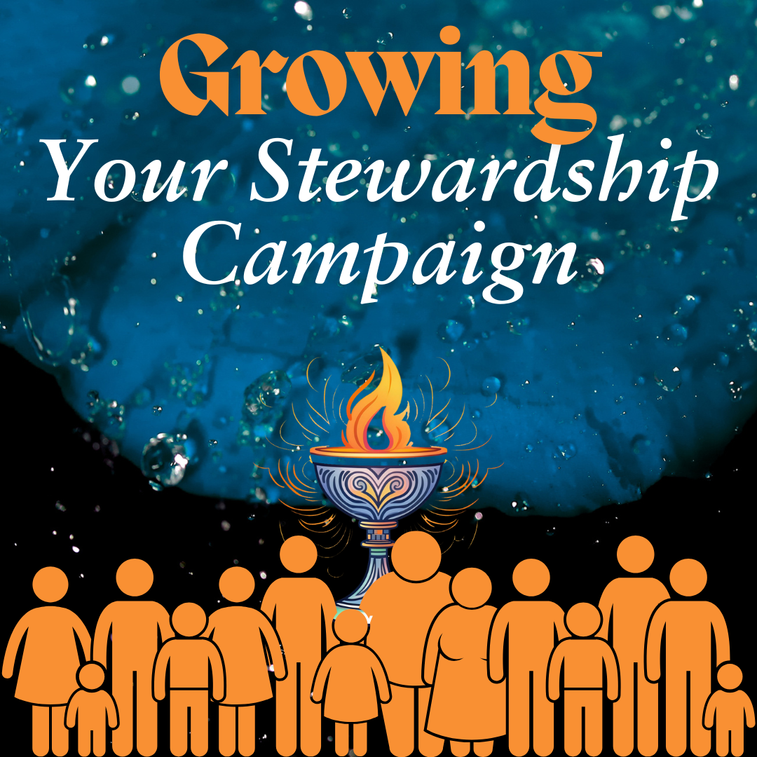 Growing Your Stewardship Campaign - BridgesUU